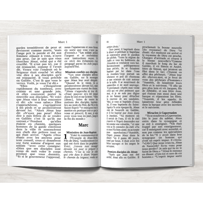 Frans Zwarte Nieuwe Testament Bijbel - In Begrijpelijke Taal City ...