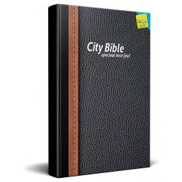 Dutch Traditional New Testament Bible New Testaments and Evangelism ...